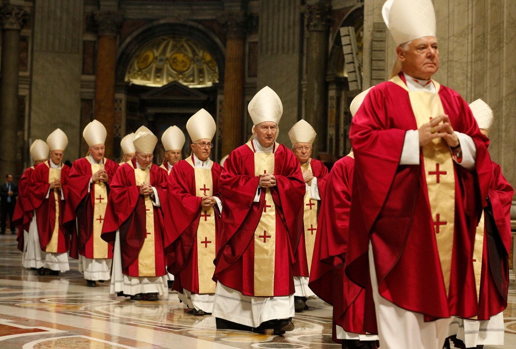 The Scarlet Oath: Tradition, Power, and the Robes of a Cardinal ...